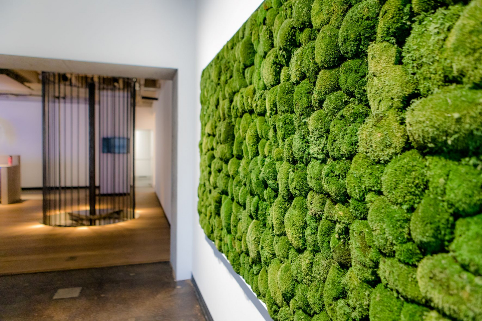 Stern Stewart & Co.-Karriere: Bewerbung & Interview-Leitfaden