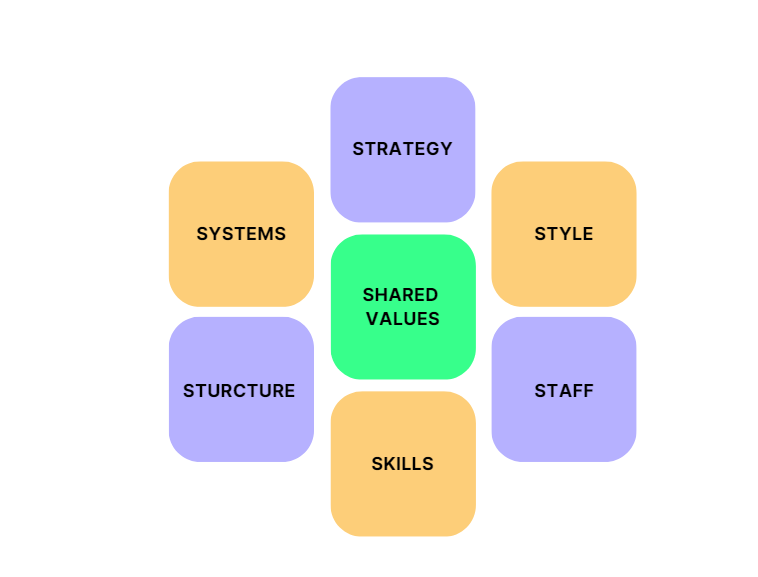 The 7S-Framework of McKinsey
